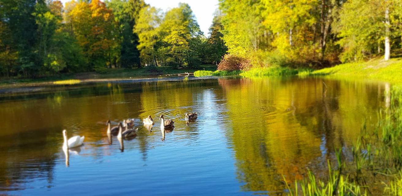 Dodies rudenīgās pastaigās Preiļu parkā | Drupal | Visit Preili